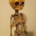 Baby Fetal Skeleton Replica Model - Etsy