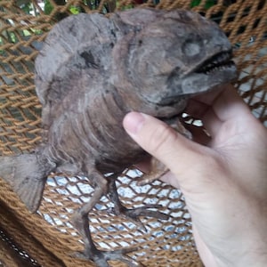 Darwin Fish With Legs Dried Specimen Sideshow Gaff Sculpture - Etsy