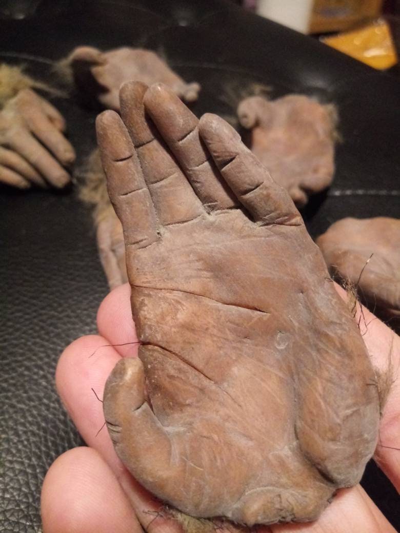 Cursed Monkey Paw Oddities Replica Sculpture - Etsy