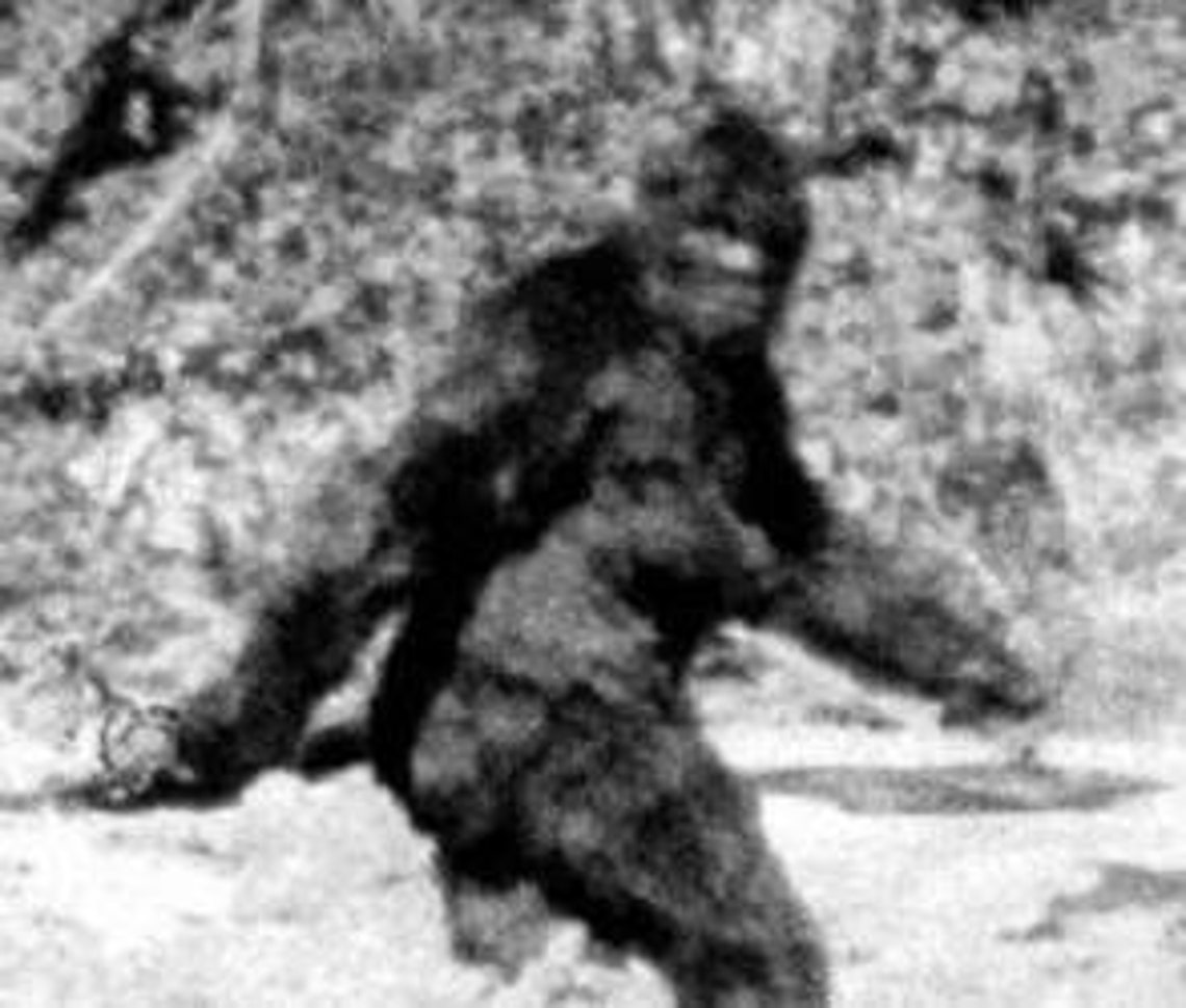 Bigfoot Sasquatch Footprint Casting - Etsy