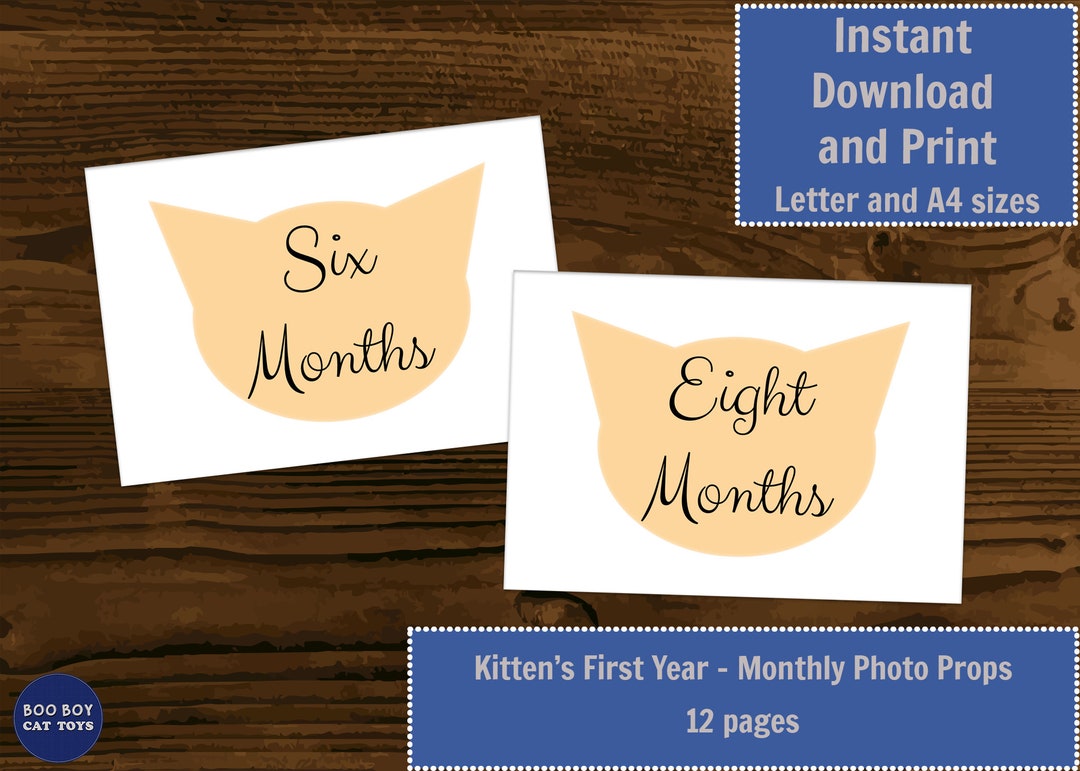 Printable Kitten Photo Props for Cat Parents | 6 Different Color Themes ...
