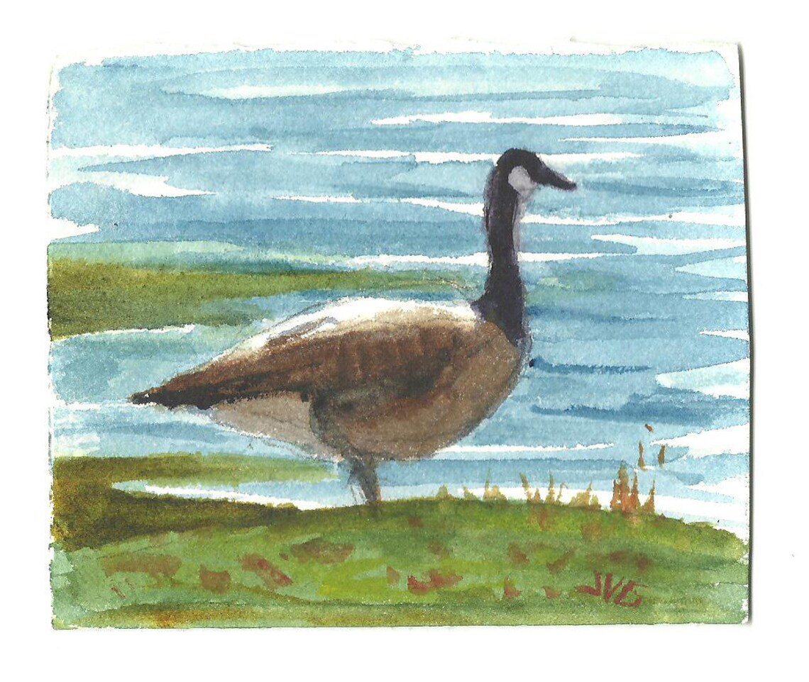 Canada Goose 3.75x4.5 Original Watercolor Sketch - Etsy