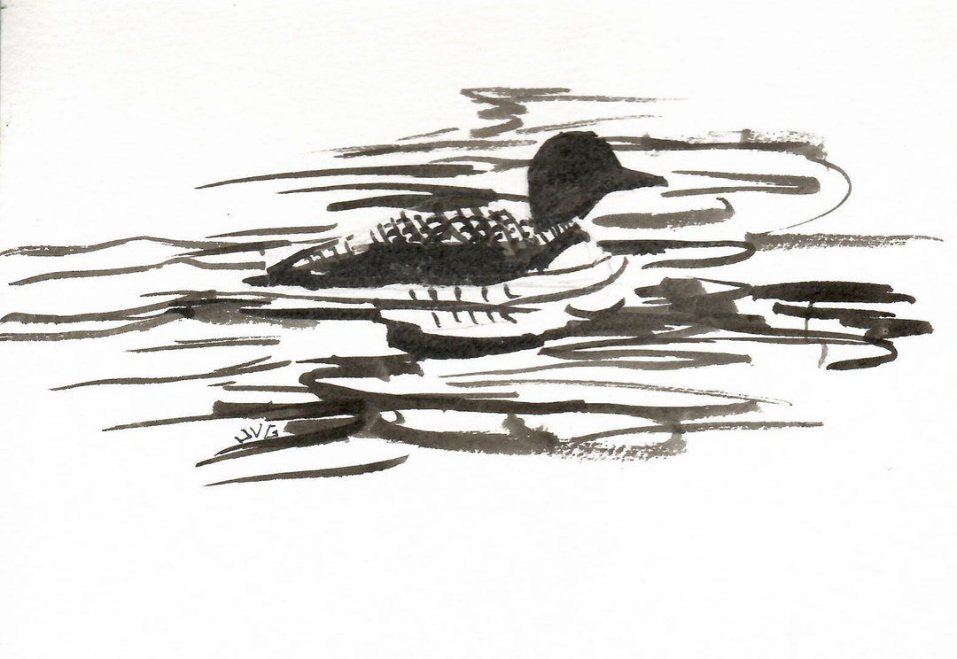 Common Loon- 6"x8"- Original Ink Sketch - Etsy