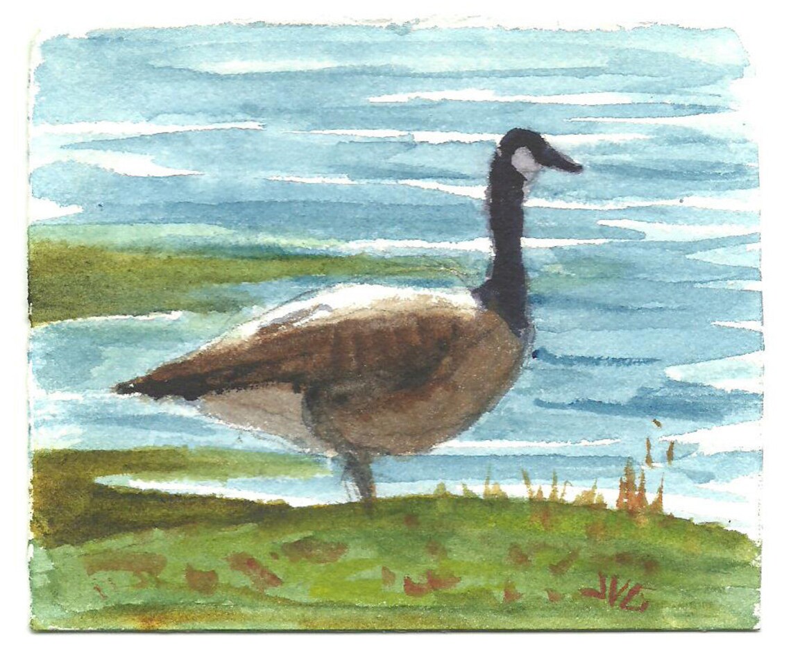 Canada Goose 3.75x4.5 Original Watercolor Sketch - Etsy