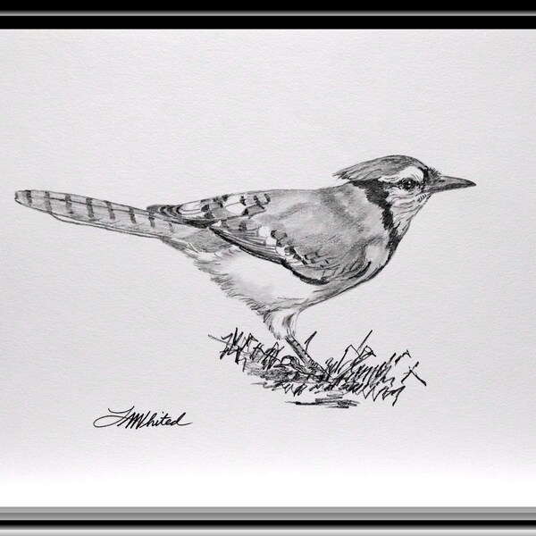 Graphite Drawing - Etsy