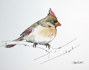 Female Cardinal Drawing