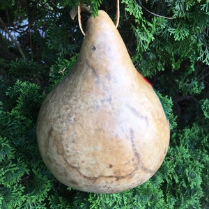 Hand Painted Gourd Birdhouse Red Crab - Etsy