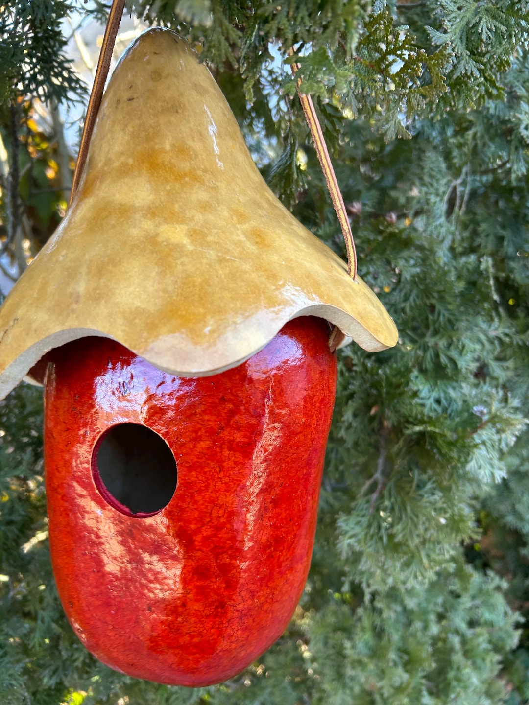Apple With Hat Gourd Birdhouse, Hat Stained Natural With Clean Out! - Etsy