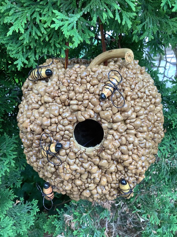 Bumble Bees Warty Hardshell Gourd Birdhouse Handmade | Etsy