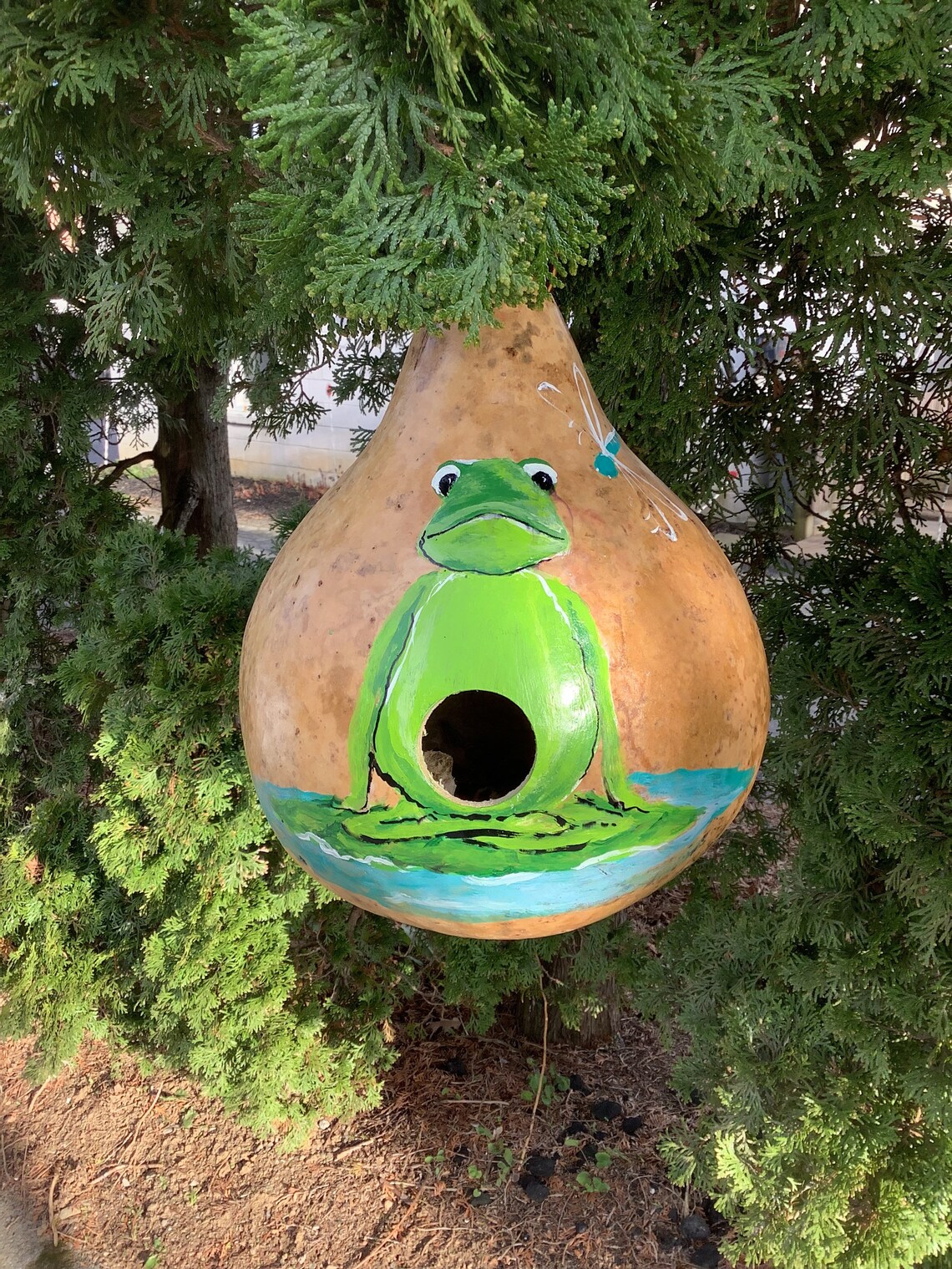 Hand Painted Gourd Birdhouse Frog and Dragonfly - Etsy