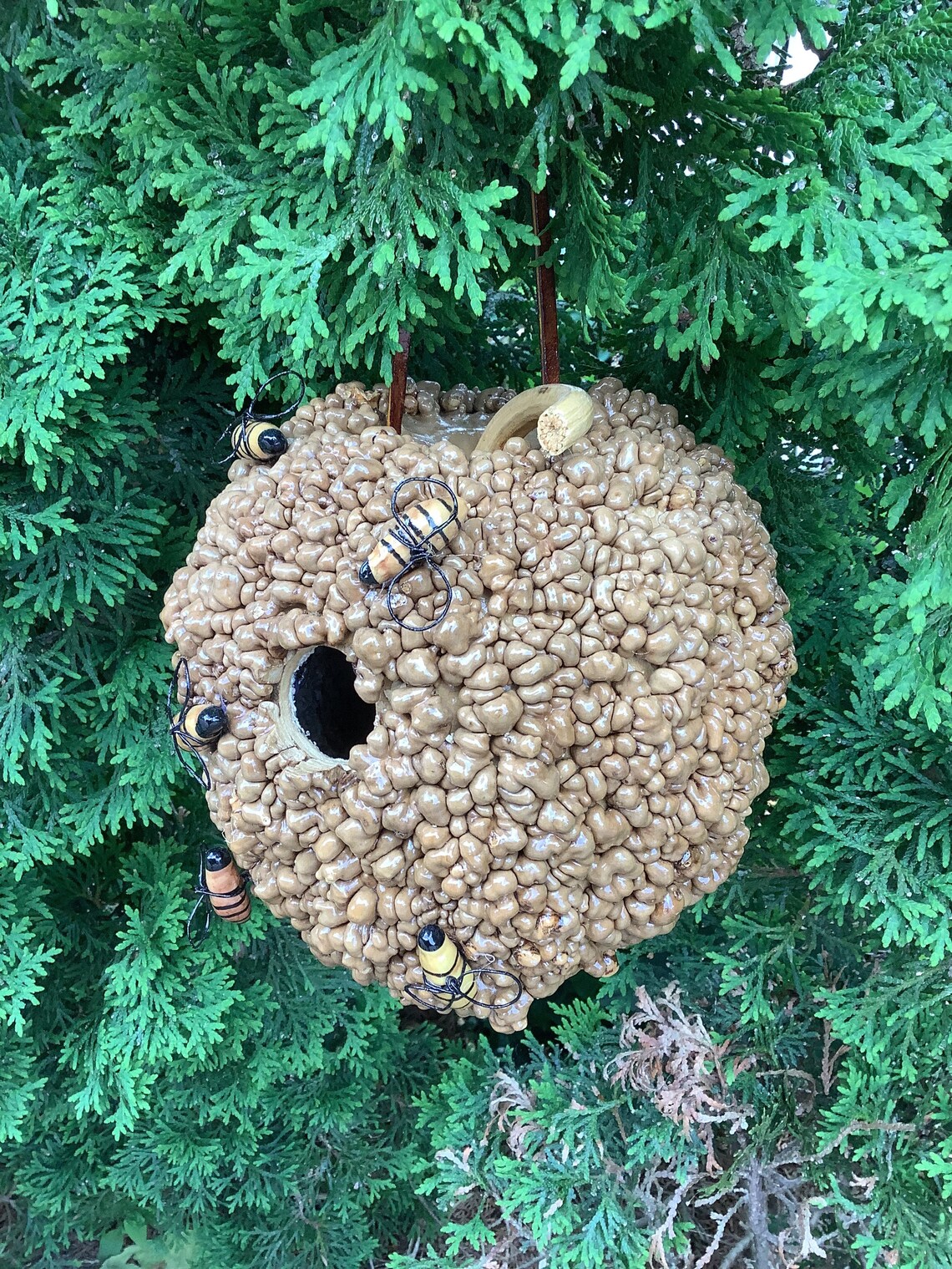 Bumble Bees Warty Hardshell Gourd Birdhouse Handmade | Etsy