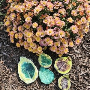 5 Handcrafted and Painted Hosta Leaves - Etsy