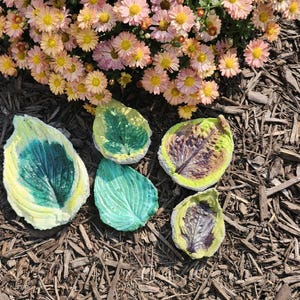5 Handcrafted and Painted Hosta Leaves - Etsy