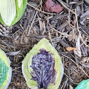 5 Handcrafted and Painted Hosta Leaves - Etsy