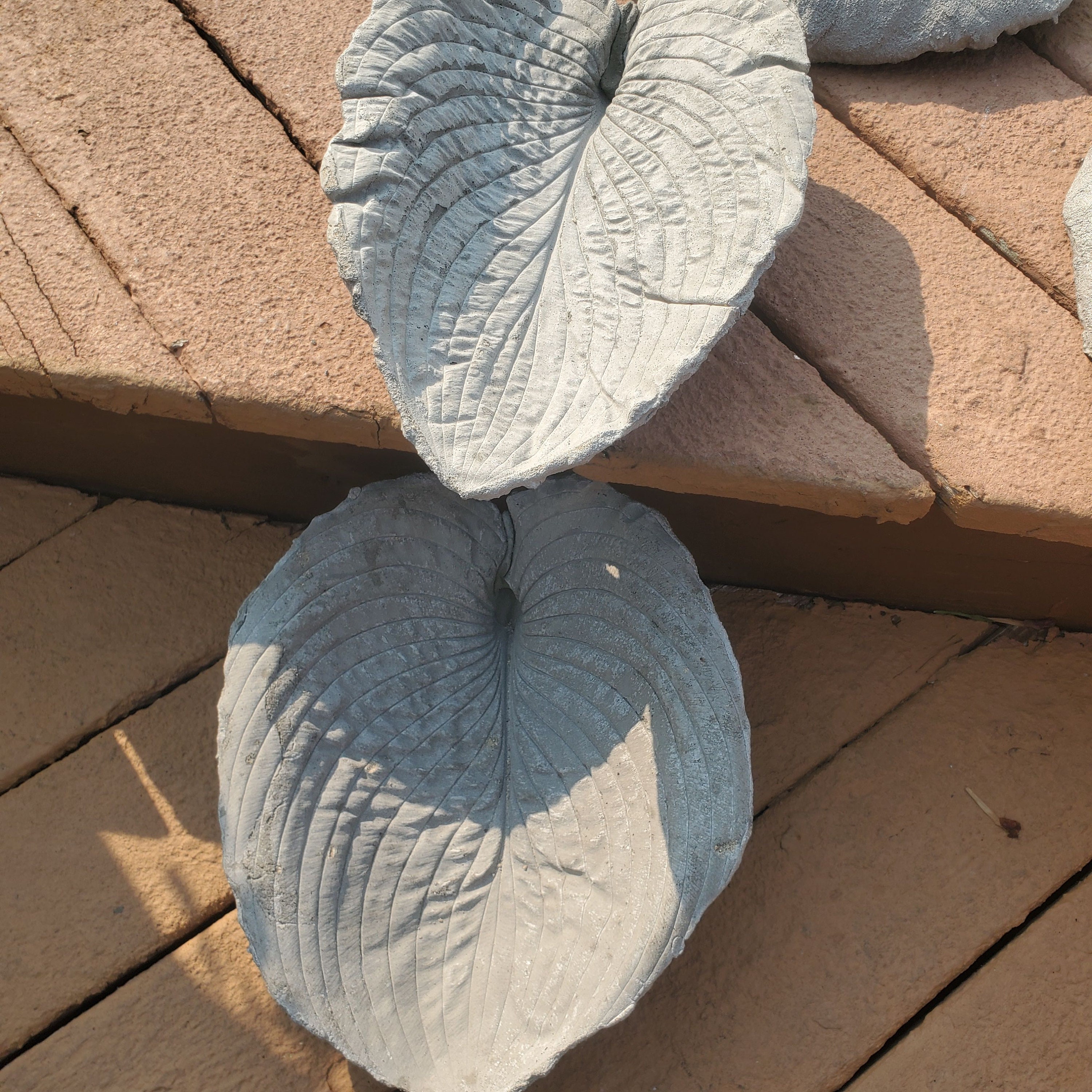 Paint Your Own Cement Hosta Leaf - Etsy