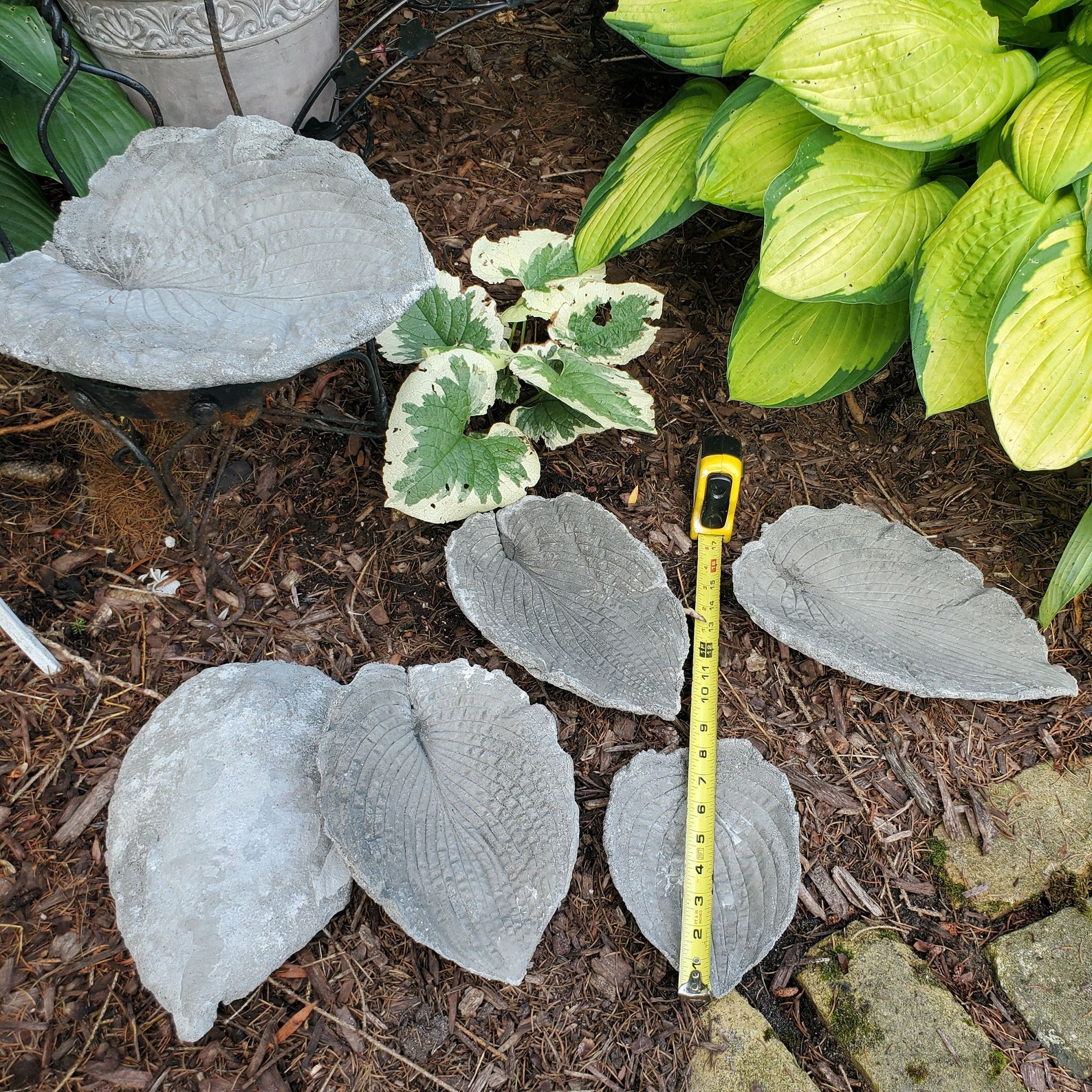 Paint Your Own Cement Hosta Leaf - Etsy