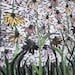 Handcrafted Coneflower Mosaic - Etsy