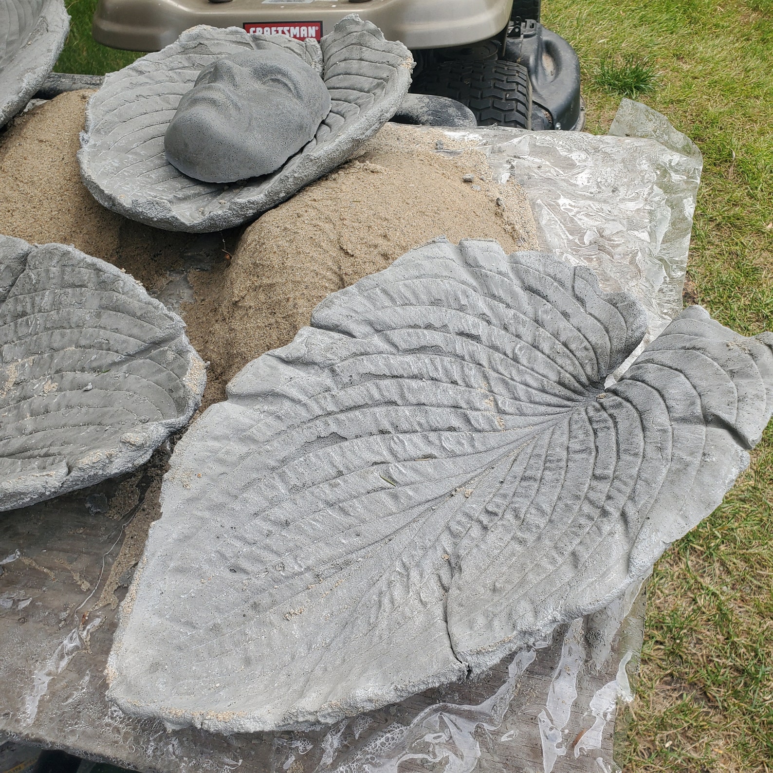 Paint Your Own Cement Hosta Leaf - Etsy