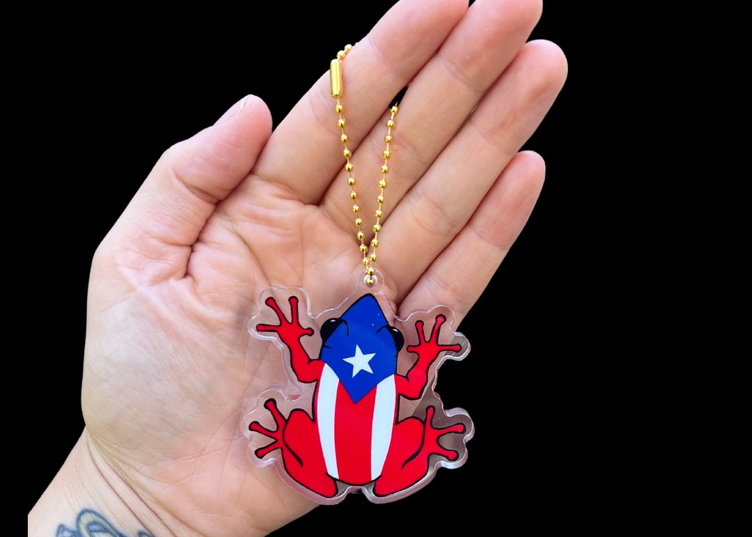 Coqui Puerto Rico Thick 2.5 Inch Epoxy Keychain , Send a Gift ...