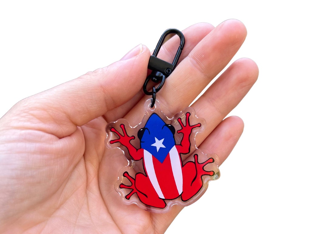 Coqui Puerto Rico Epoxy Keychain , Send a Gift , Christmas Gift, Loved ...
