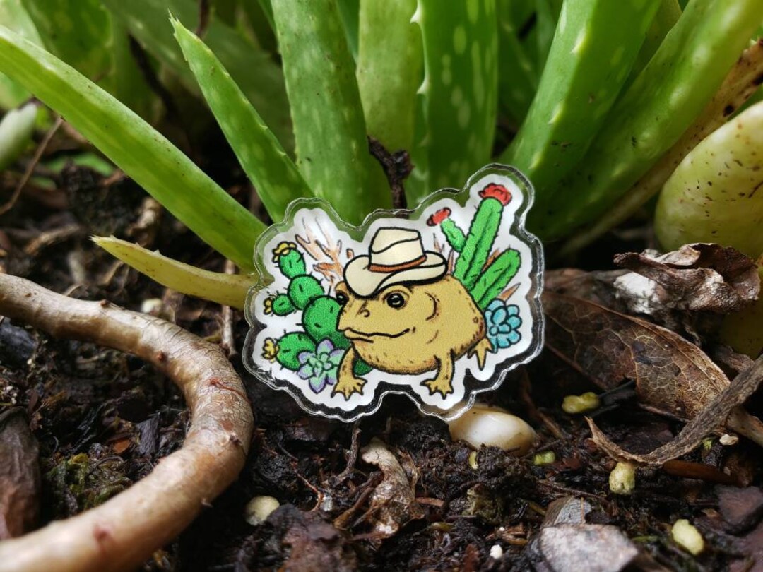 Country Toad Acrylic Pin - Gift for Frog Lovers - Etsy