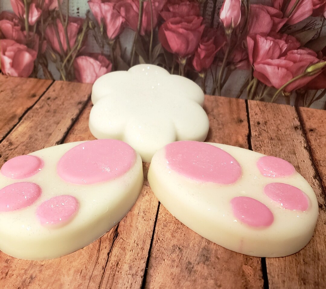 EASTER BUNNY BURPS Bunny Rabbit Feet & Tail Happy Birthday Anniversary ...