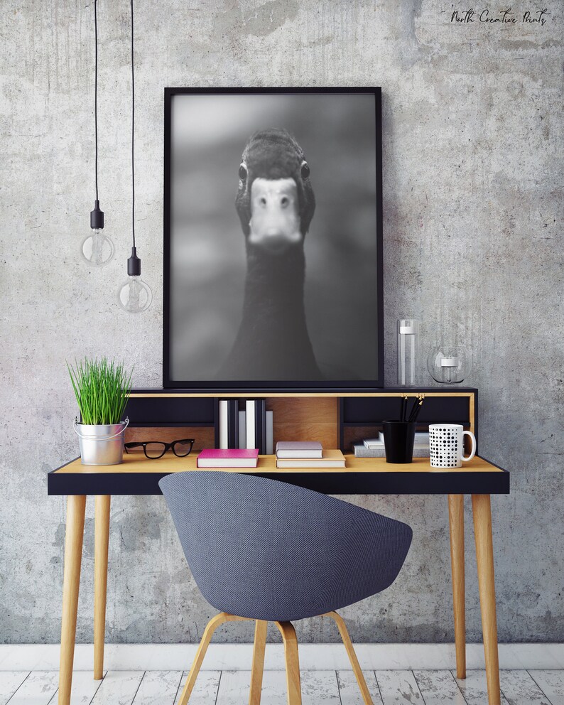 Duck Prints Posters Canvas Duck Wall Art Decor Wildlife | Etsy