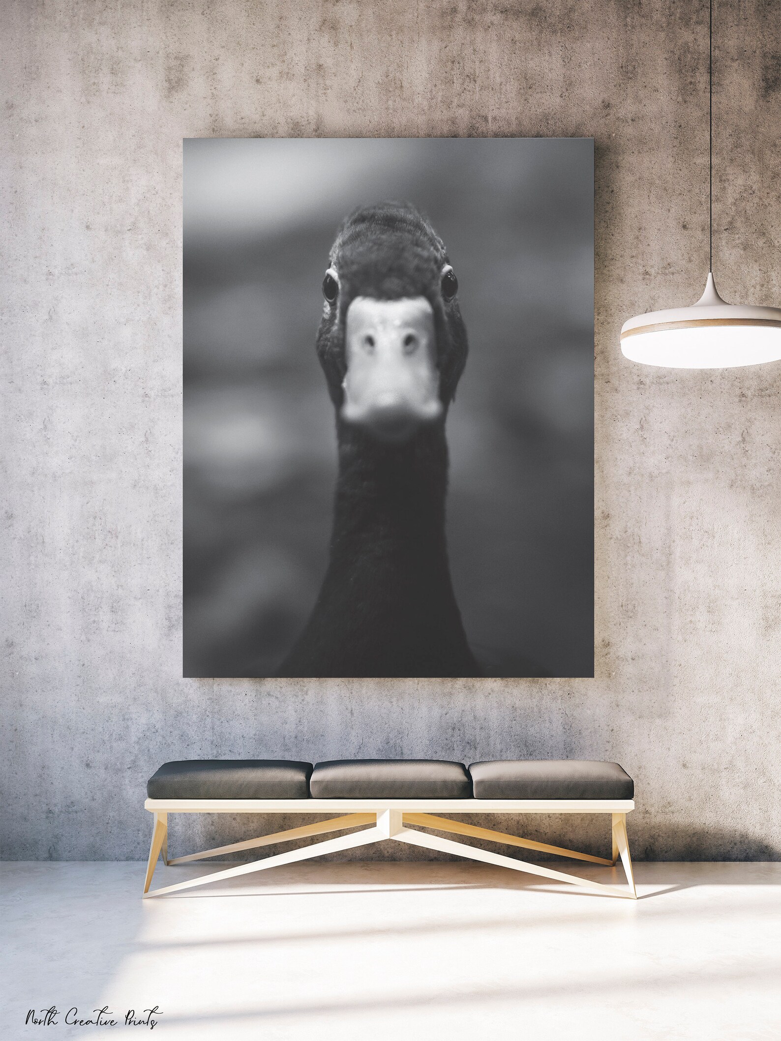 Duck Prints Posters Canvas Duck Wall Art Decor Wildlife | Etsy