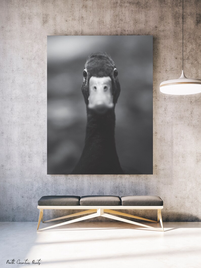 Duck Prints Posters Canvas Duck Wall Art Decor Wildlife | Etsy