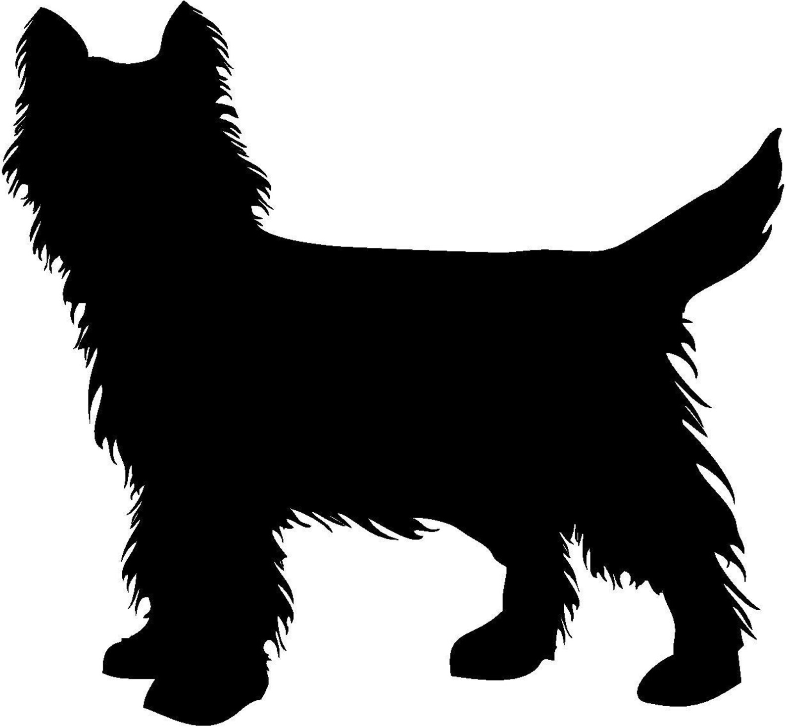 Cairn Terrier Dog Vector Graphic SVG Silhouette | Etsy