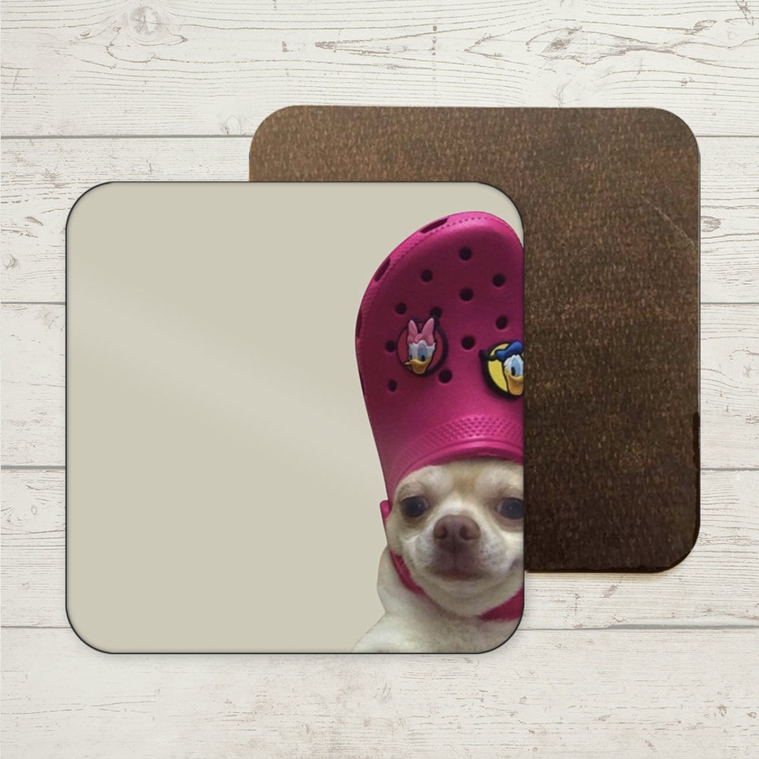 Croc Dog Meme Drinks Coaster, Funny Meme Gifts, Croc Coaster, Dog With ...