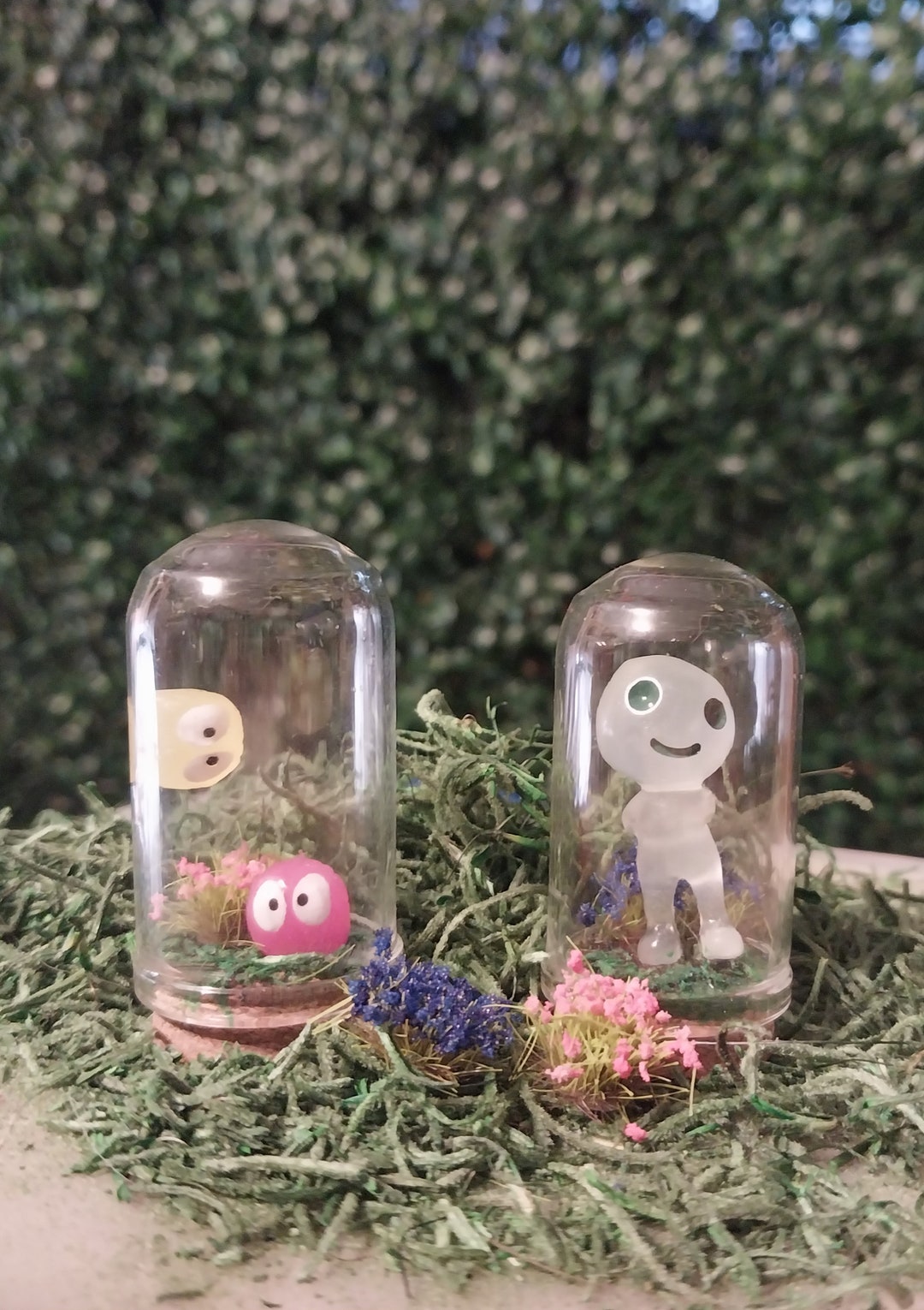 Mini Anime Terrarium - Etsy