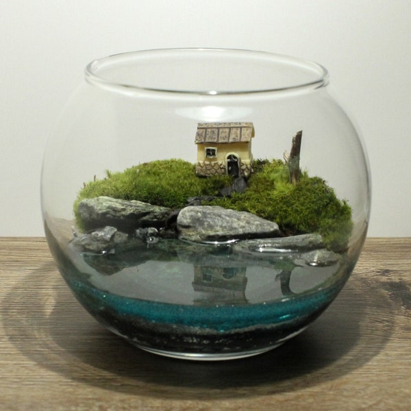 Live Moss Terrarium - Etsy