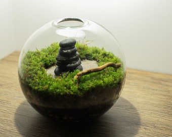 Zen Terrarium | Etsy