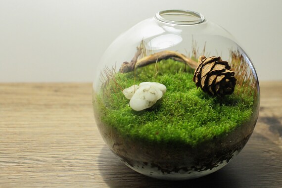 Craft Supplies & Tools Gardening & Plants Desktop Zen Garden Minimalist ...