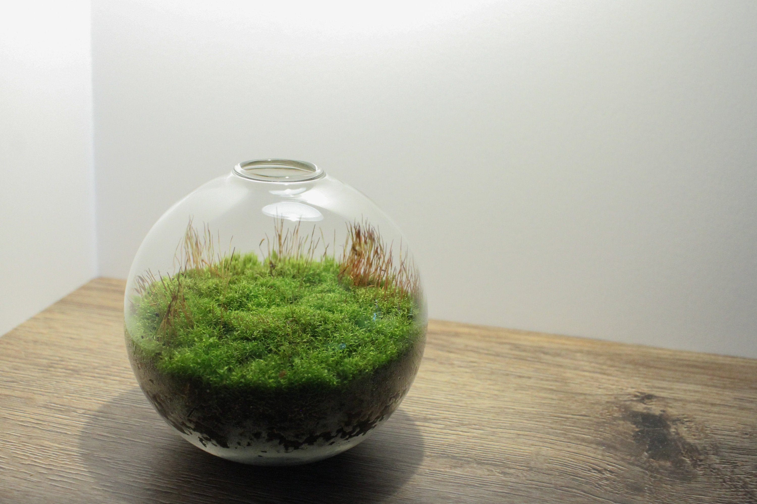 Craft Supplies & Tools Gardening & Plants Desktop Zen Garden Minimalist ...