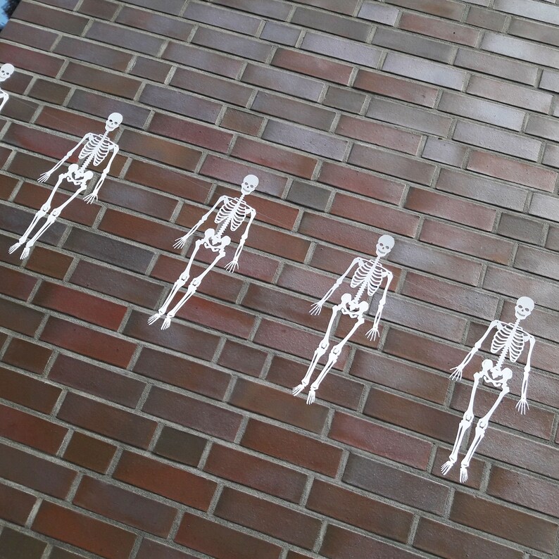 SKELETON Clipart, Png, Svg, Cutting File, Sublimation Design, Vector ...