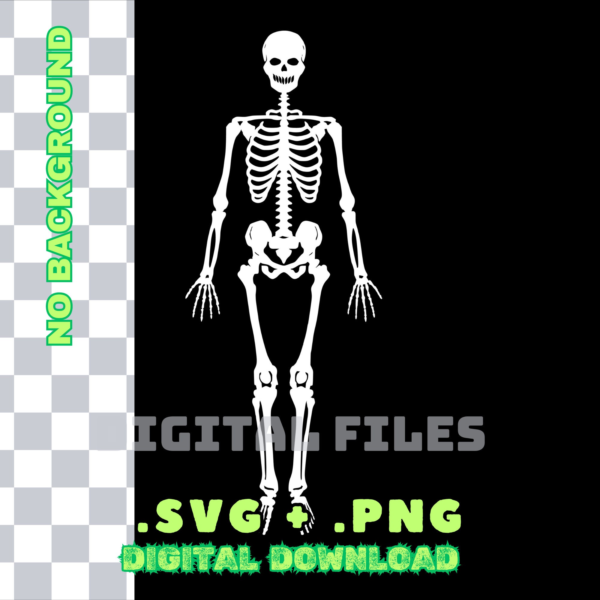 SKELETON Clipart, Png, Svg, Cutting File, Sublimation Design, Vector ...