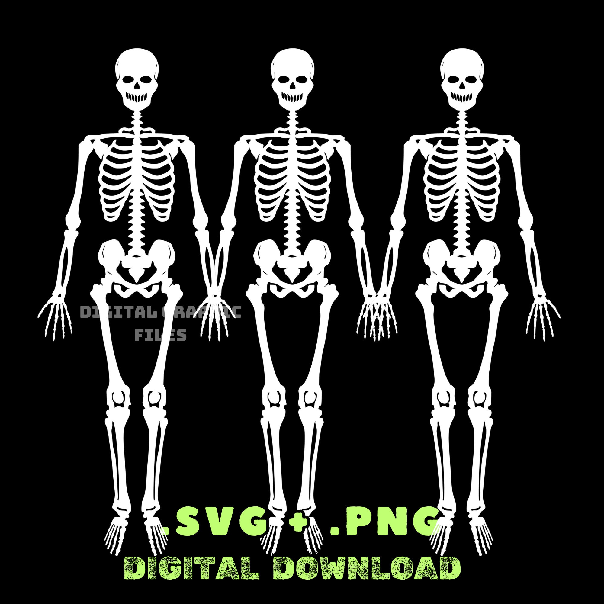 SKELETON Clipart, Png, Svg, Cutting File, Sublimation Design, Vector ...