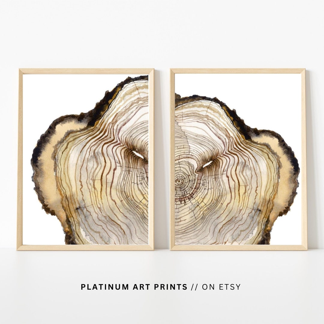 Set of 3 Digital Prints, Log Wood Slice Prints, Nature Prints, Large ...