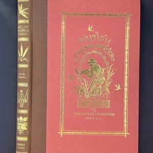 Vintage FISH PRINT - 1981 - Art Book Plate - Antique Painted in 1879 ...