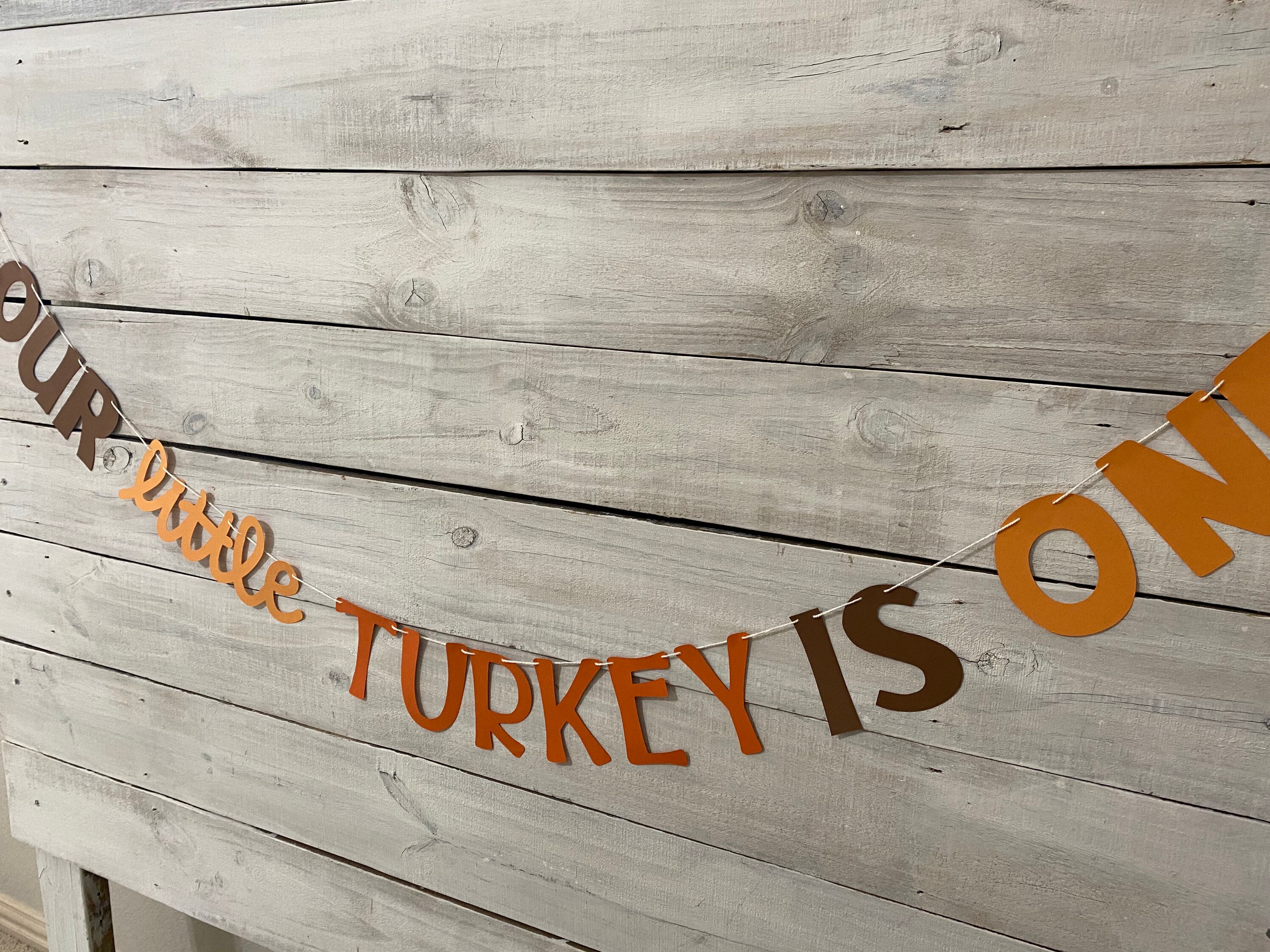 Our Little Turkey is One Banner Thanksgiving Fall First - Etsy