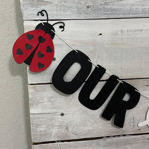 Our Little LOVE BUG is ONE- Love Bug Birthday Banner-lady Bug Party ...