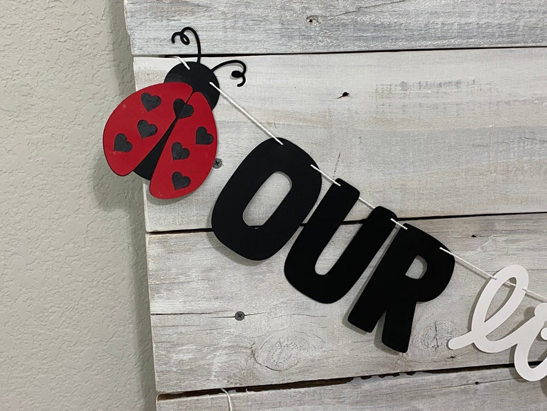 Our Little LOVE BUG is ONE Love Bug Birthday Banner-lady Bug - Etsy