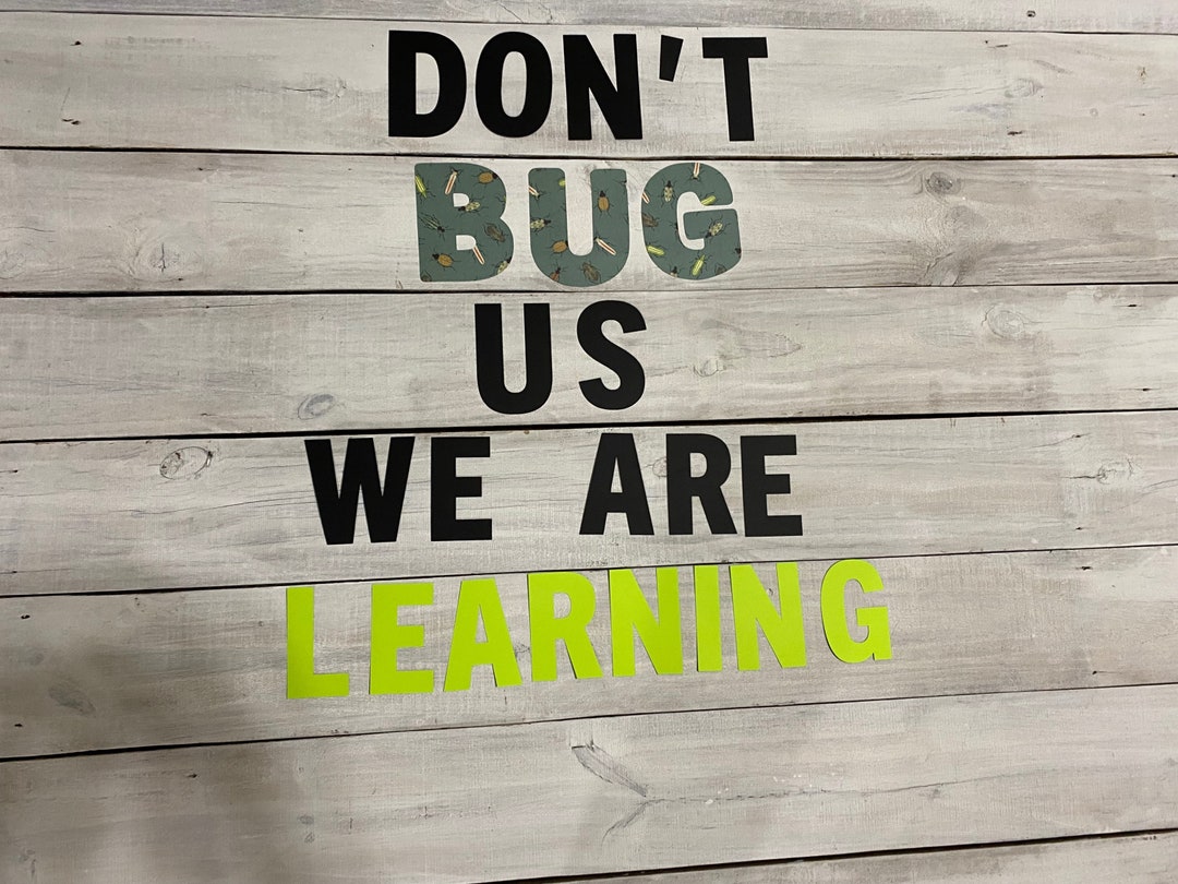 Don’t BUG Us We Are Learning Bulletin Board-classroom Decor-bug ...