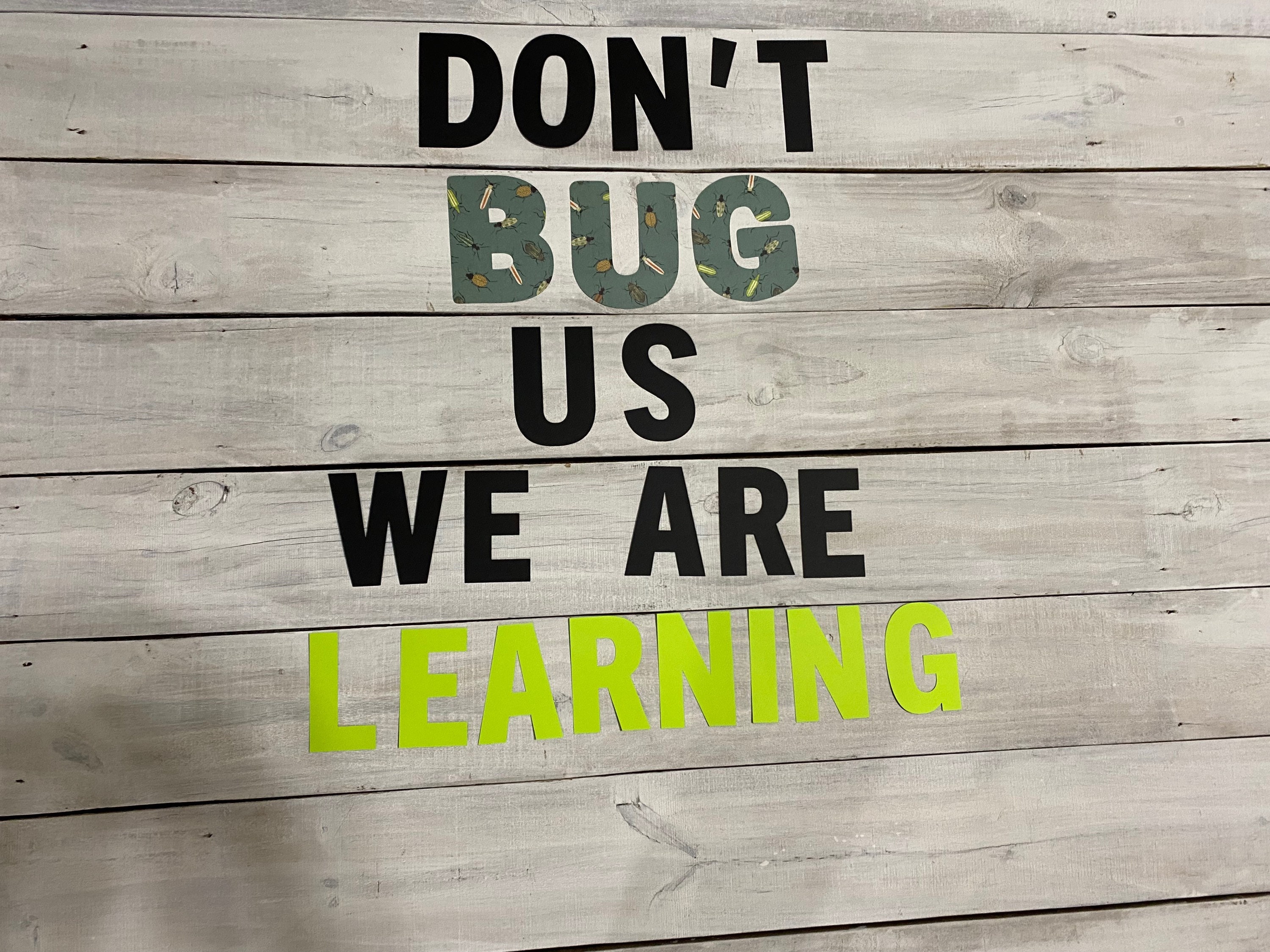 Bug Theme Classroom Bulletin Board Letters: Teacher Decor - Etsy