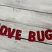 Our Little LOVE BUG is ONE Love Bug Birthday Banner-lady Bug Party ...
