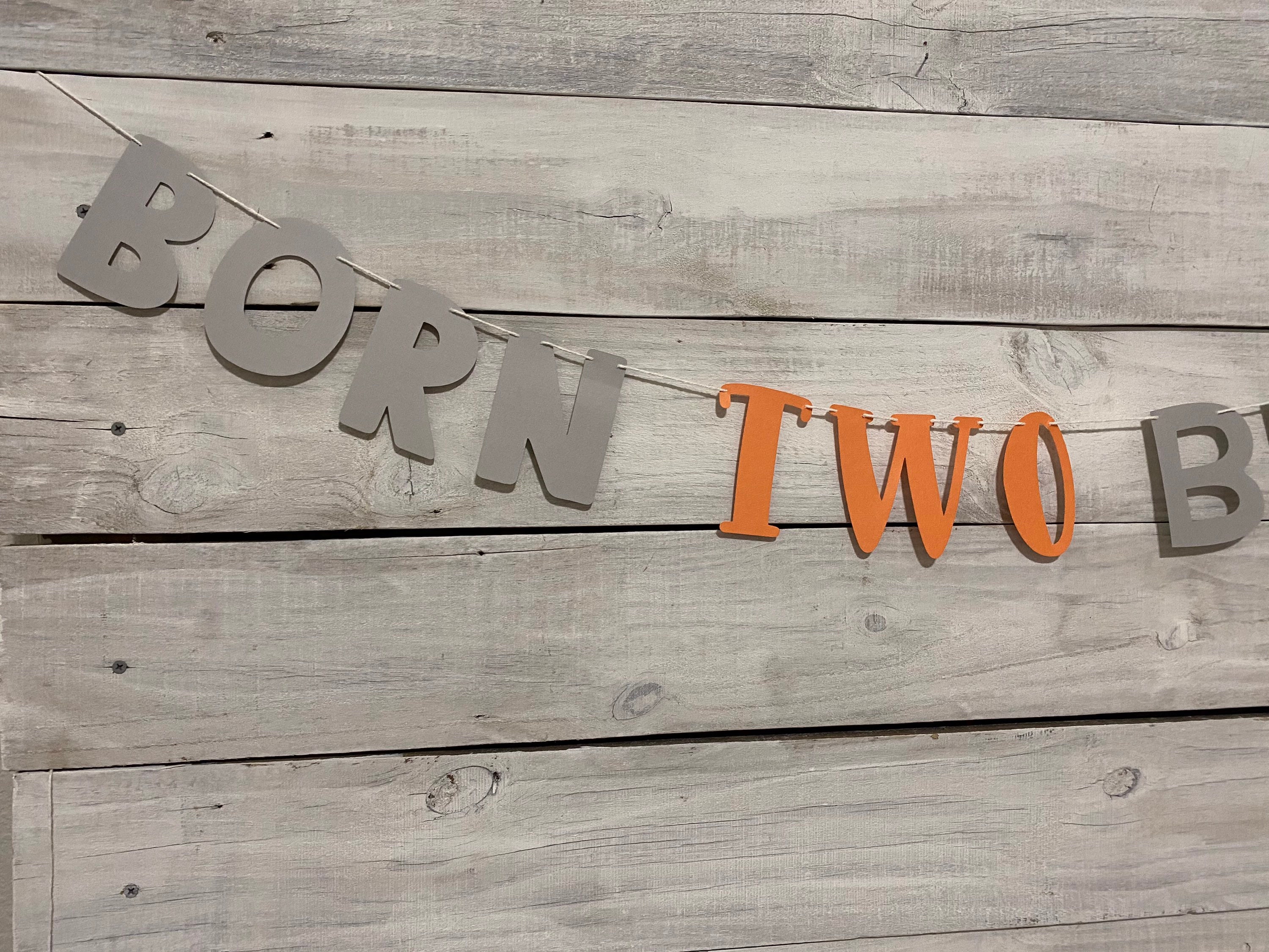 Born TWO Be Wild Banner 2nd Birthday Banner | Etsy