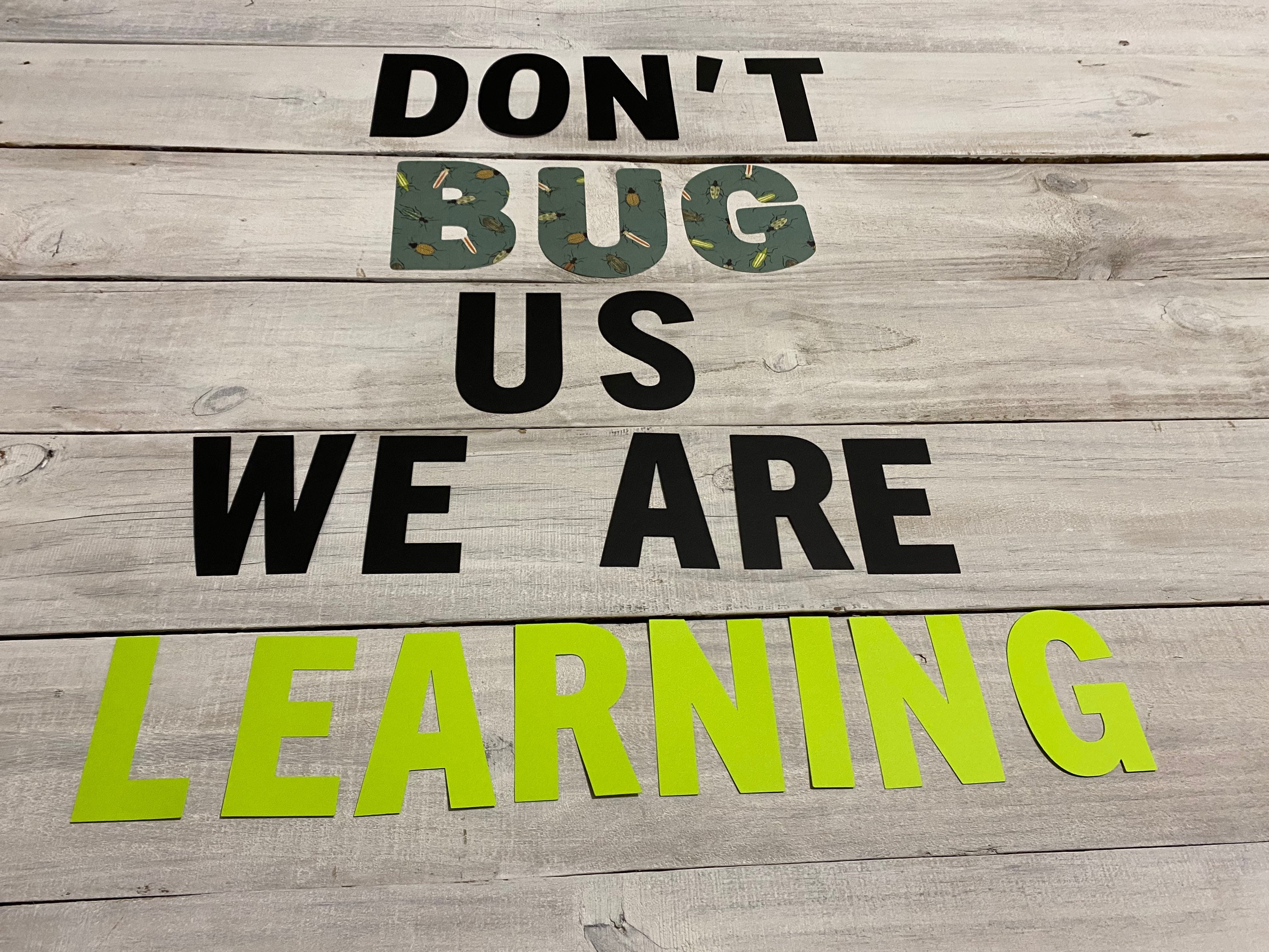 Bug Theme Classroom Bulletin Board Letters: Teacher Decor - Etsy