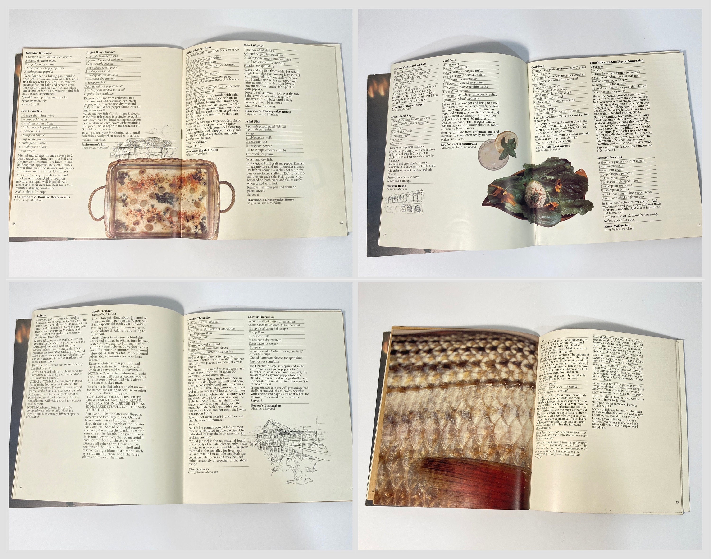 Maryland Seafood Cookbook 2 and Favorite Seafood Recipes of - Etsy